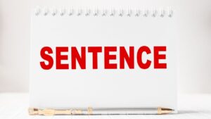 How to Identify Different Sentence Types - Writing With AI